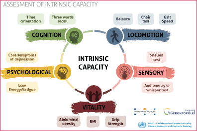 W.H.O ( World Health Organization) PROGRAM ON MAINTAINING INTRINSIC ...